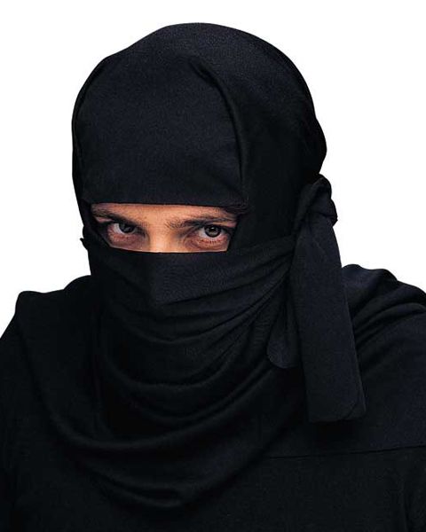 Ninja Gaiden Headpiece