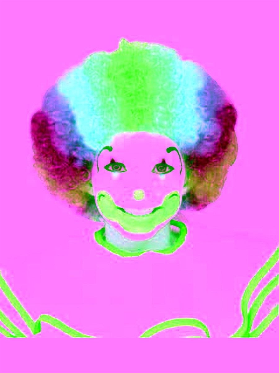 Multicolor Clown Wig - SpicyLegs.com